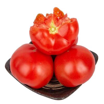 陕西泾阳普罗旺斯西红柿新鲜自然熟沙瓤当季现摘番茄生吃整箱5斤