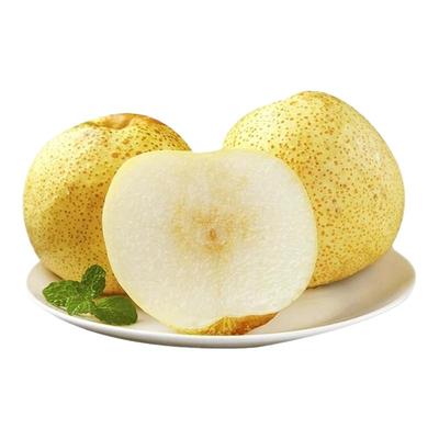 砀山酥梨新鲜水果脆梨香甜梨产地直发