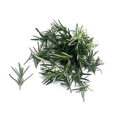 新鲜迷迭香烧烤烘焙排盘装饰