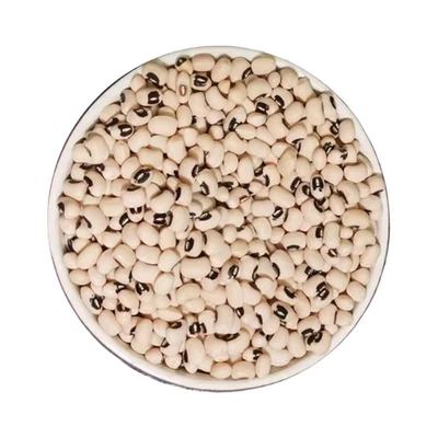 新货白眉豆白缸豆农家自产芸豆米豆饭豆白豆熬粥煲汤杂粮打豆浆