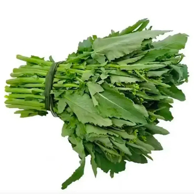 四川本地油菜苔新鲜现摘