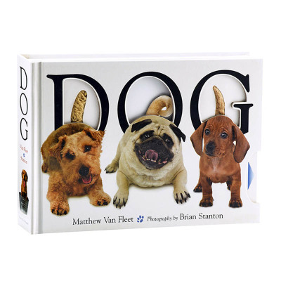 英文原版 Dog 狗 趣味启蒙认知 动物 大开本纸板触摸操作书 Matthew Van Fleet 儿童认知玩具书 启蒙认识 精装