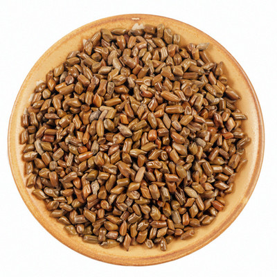 熟决明子袋装决明子茶正品无硫