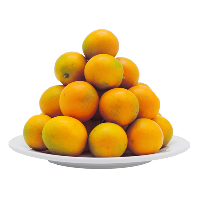 纯甜多汁融安金桔脆蜜金柑甜桔子