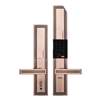 VOC指纹锁F9精雕铜门防盗锁