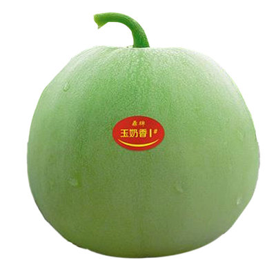 玉奶香薄皮甜瓜种子浓郁带奶香味
