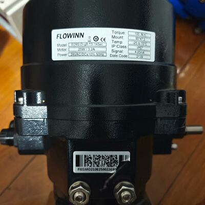 议价FLOWINN执行器EOM2DIgBT314Sec维修