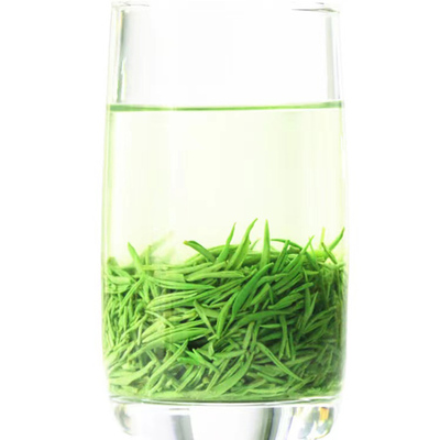 信阳毛尖2025新茶嫩芽清香型500g