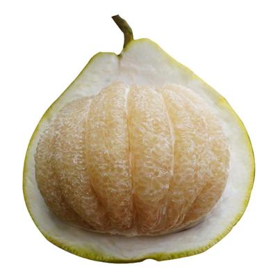 【湘超永州队推荐】湖南永州江永老树沙田柚香柚纯甜冰糖白心柚子