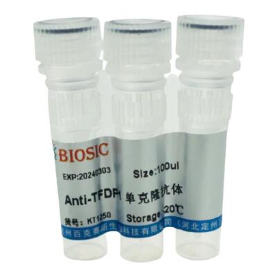 Anti-TFDP1 Monoclonal antibody实验用单克隆抗体 百克赛斯生物