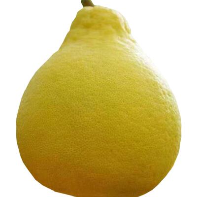 20斤精品特大果纯甜金柚白肉