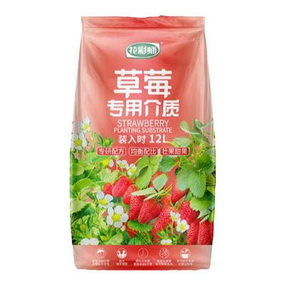 花彩师草莓营养土香甜草莓种出来