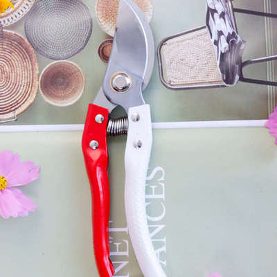 木枝剪 修枝剪 花艺剪 剪刀 剪比较硬的枝干 木枝花材专用剪顺丰