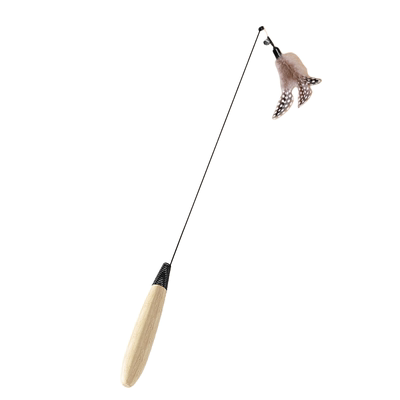 CFA赛级逗猫棒猫咪玩具大全