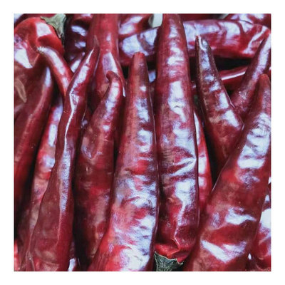 500克虾子炒菜红油调料二荆条