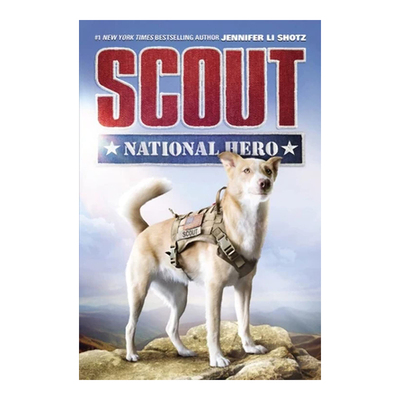 童子军民族英雄ScoutNation