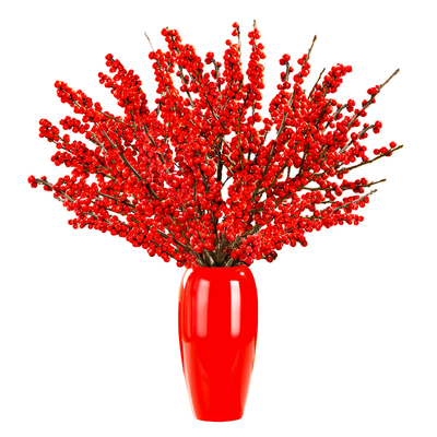 北美冬青红果真花鲜切花银柳红腊梅春节新年宵花水养插瓶旺宅装饰