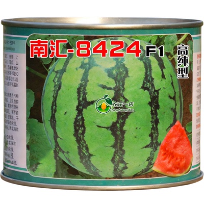 南汇8424西瓜种子薄皮超甜麒麟瓜