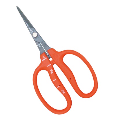 大嘴鸟葡萄采摘剪日本进口