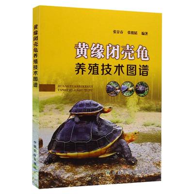 黄缘闭壳龟养殖技术图谱