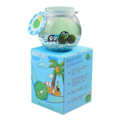 2024新年礼物幸运藻球龙年行好运