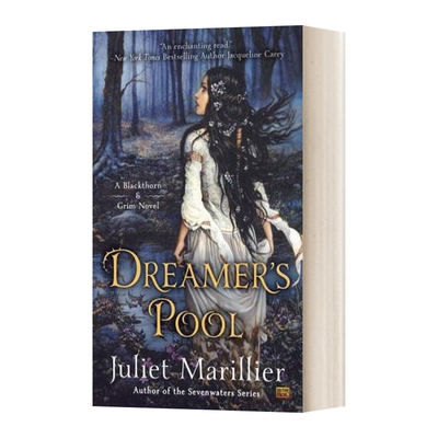 英文原版小说 Dreamer's Pool 梦想家的泳池 英文版 进口英语原版书籍