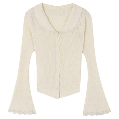 About Passion · 法式蕾丝针织衫上衣女2025新款秋季修身毛衣