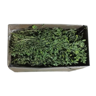 2025年烘干苜蓿草岷县食府精选兔粮龙猫饲料牧草干草毛重1kg包邮