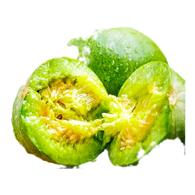 绿宝石早熟甜瓜种子苗羊角蜜秧苗