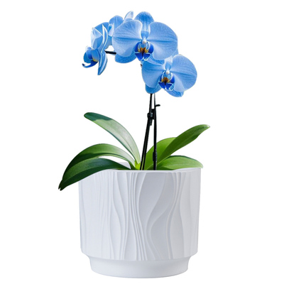 北欧简约花盆陶瓷家用带托蝴蝶兰大号ins风虎皮兰多肉绿植盆清仓