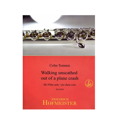 托米斯安然无恙地走出失事飞机