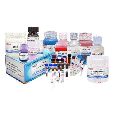 Anti-CDC42 Monoclonal antibody 实验用单克隆抗体 百克赛斯生物