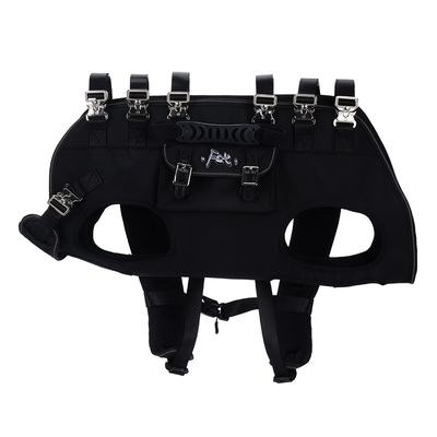 买贵包赔！FCT双肩横背宠物包