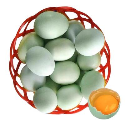 正宗绿壳乌鸡蛋30枚新鲜乌鸡蛋自养农家鸡蛋营养月子蛋