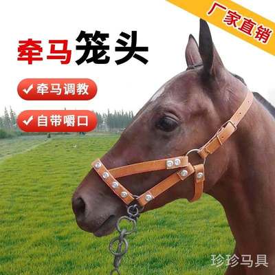 马低头革珍珍马具马笼头马笼套马嘴笼牛嘴笼马缰绳牵马调教马龙头
