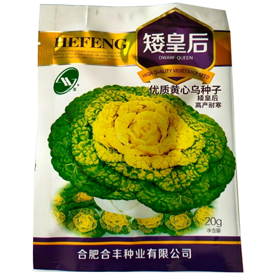 合丰矮皇后乌塌菜种子秋播耐寒
