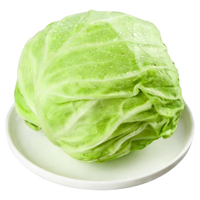 燎原绿色卷心菜基地直供