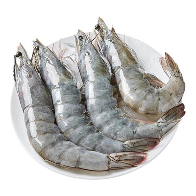 厄瓜多尔白虾大虾鲜活速冻盐冻2030南美白虾基围虾海虾对虾类海鲜
