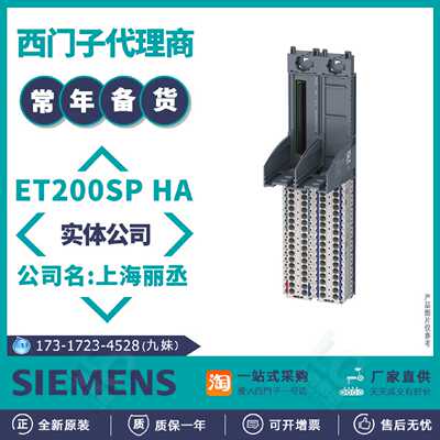 议价6DL1193-6TP00-0DN0西门子ET200SPHA终端块6DL11936TP000DN0
