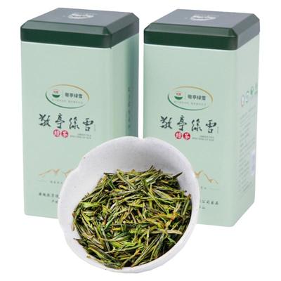 2025年敬亭绿雪开园头采嫩芽新茶