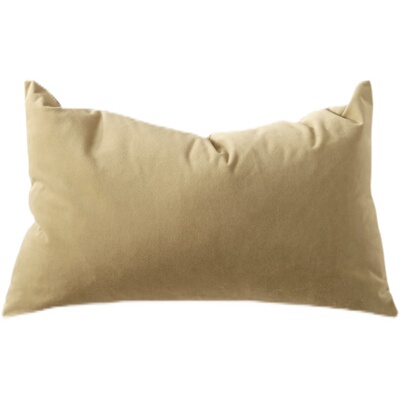 轻奢靠垫套加厚抱枕套定制天鹅绒