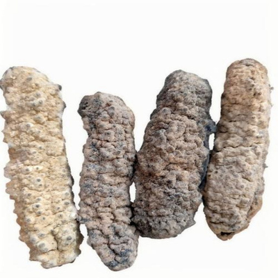 澳洲野生淡干黄玉参干货500g