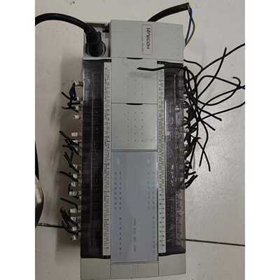〔议价-可维修〕维控WECON PLC模块,型号LX2V-2424MR-A 工业设备