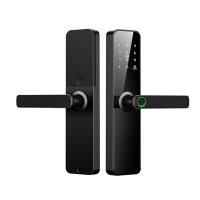 柏嘉利室内木门专用智能锁