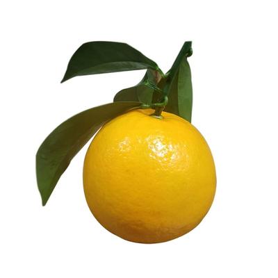 廉江红橙甜橙红橙水果