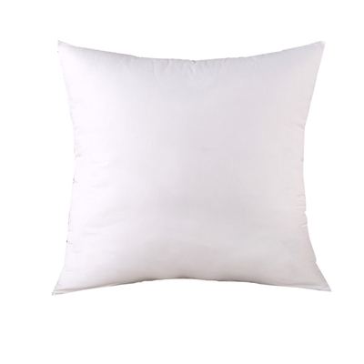 抱枕芯方形沙发内胆支持定做靠垫