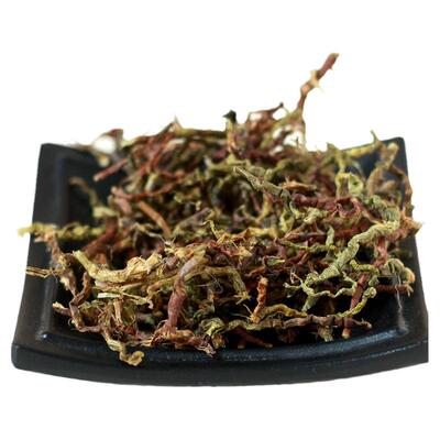 山密草天山乌龙草根铁观音福音草