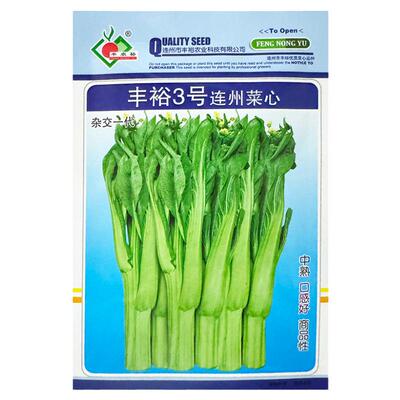 丰裕3号连州菜心种子脆嫩爽甜