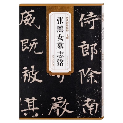正版北魏张黑女墓志铭 简体旁注历代碑帖精粹碑帖毛笔字帖薛元明张玄古帖学生成人临帖临摹书法练习教材技法解析籍安徽美术出版社