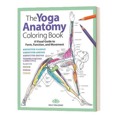 英文原版 Yoga Anatomy Coloring Book 瑜伽解剖填色书 英文版 进口英语原版书籍